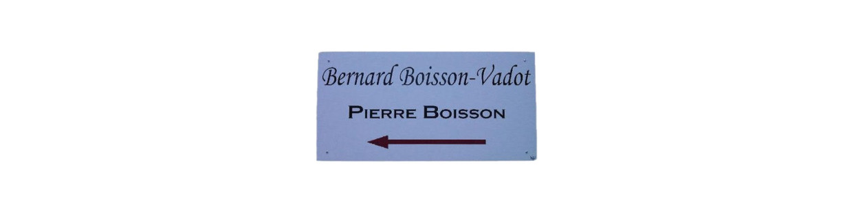Pierre Boisson Macon-Bray Les Essarts 2020 - vin de Bourgogne|Vin Malin