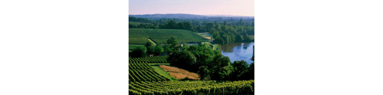 Fronsac - Vin-malin.fr